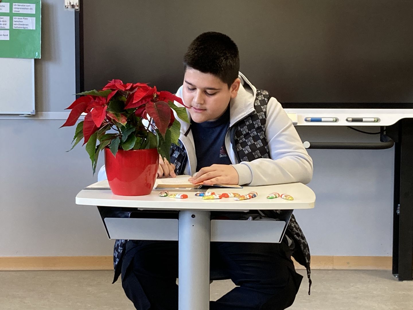 Mit "Vincent" auf Platz eins - Schule auf der Aue